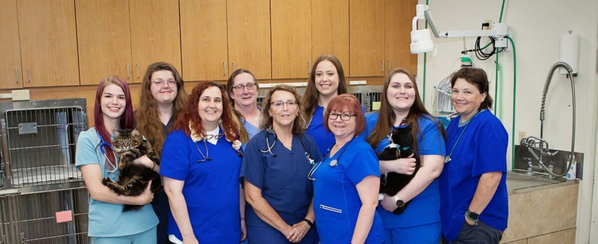 Meet the Team | Veterinary Emergency Services of Lincoln